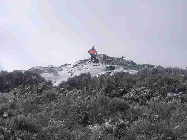 ‘Vivan los cazadores españoles’, por Lolo de Juan - TodoMonteria